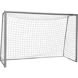 Hudora Fu&szlig;balltor &raquo;Expert 240&laquo; BxLxH: 85x240x170 cm grau Kunstfaser, Stahl B/H/L: 85cm x 170cm x 240cm, 1 Stk. Kunstfaser Stahl