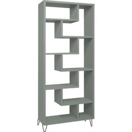 M&auml;usbacher Raumteiler &raquo;Tetrix&laquo; Breite 89 cm gr&uuml;n B/H/T: 89cm x 205cm x 33cm, 8 Stk. offene F&auml;cher