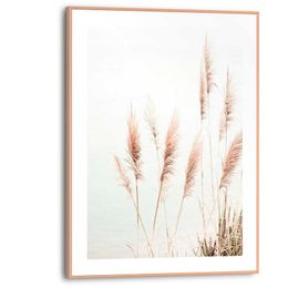 Reinders Poster &raquo;Pampasgras&laquo; beige MDF B/H/T: 30cm x 40cm x 1,6cm