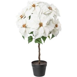 Creativ deco Winterliche Kunstpflanze &raquo;Weihnachtsdeko&laquo; Samt-Ausf&uuml;hrung wei&szlig; Kunststoff, Polyester B/H/L: 75cm