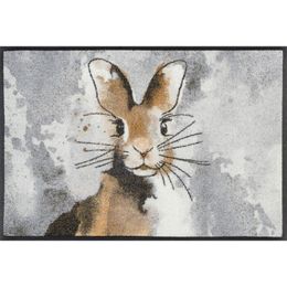 wash+dry by Kleen-Tex Fu&szlig;matte &raquo;Hopps&laquo; rechteckig 7 mm H&ouml;he Schmutzfangmatte, rutschhemmend, In- und Outdoor geeignet, waschbar braun Kunstfaser B : 