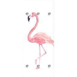 queence Garderobenleiste &raquo;Flamingo&laquo; mit 6 Haken, 50 x 120 cm rosa Acrylglas, Edelstahl