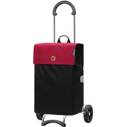 Andersen Einkaufstrolley &raquo;Scala Shopper Hera&laquo; Tragkraft 40 kg rot Stahl