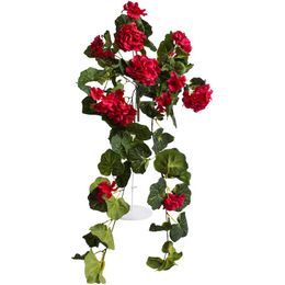 Kunstblume &raquo;Geranienh&auml;ngebusch mit 11 Stielen&laquo; rot Kunststoff &Oslash;/H: 25cm x 65cm