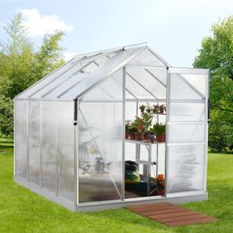 Vitavia Gew&auml;chshaus &raquo;Luna 5000&laquo; silber B/H/T: 195cm x 197cm x 257cm