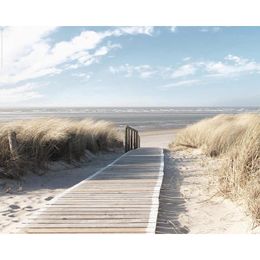 Reinders Deco-Panel &raquo;Nordsee D&uuml;nen&laquo; gr&uuml;n MDF B/H/T: 50cm x 40cm