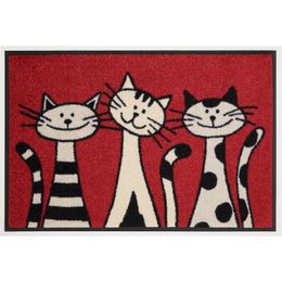 wash+dry by Kleen-Tex Fu&szlig;matte &raquo;Three Cats&laquo; rechteckig 9 mm H&ouml;he Schmutzfangmatte, Motiv Katzen, rutschhemmend, waschbar rot Kunstfaser B : 40cm 1 Stk
