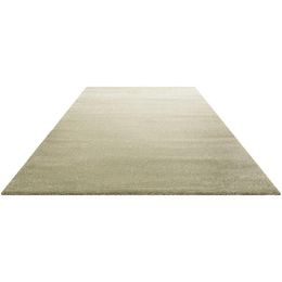 Teppich &raquo;Lido HL-822937&laquo; rechteckig 18 mm H&ouml;he gr&uuml;n Polypropylen (PP) B : 80cm 1 Stk., 18mm, L: 150cm