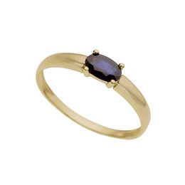 Goldring Firetti "Schmuck Geschenk Gold 333 Damenring Goldring Edelstein Farbstein" Gr. 18, gold (gelbgoldfarben, blau), Fingerringe, Damen, 18, Gelbgold 333, 1,5mm, Goldring, mit Saphir