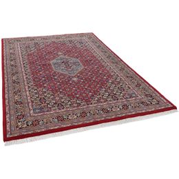 Orientteppich Theko "Benares Bidjar", rot, B:300cm H:12mm L:400cm, Schurwolle, Teppiche, Orientteppich, reine Wolle, handgekn&uuml;pft, mit Fransen, auch als L&auml;ufer
