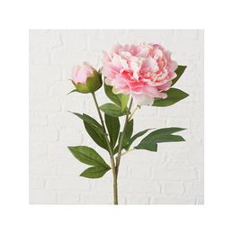 Boltze Kunstblume "P&auml;onie" in Rosa/ Gr&uuml;n - (H)72 cm - 23% | Kerzen-vasen