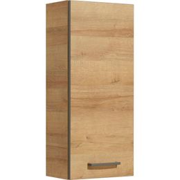 H&auml;ngeschrank &raquo;Quickset 919 Badschrank 30 cm breit mit 1 T&uuml;r und 2 Glas-Einlegeb&ouml;den&laquo; Badezimmer-H&auml;ngeschrank inkl. T&uuml;rd&auml;mpfer, Griffe in Grau braun