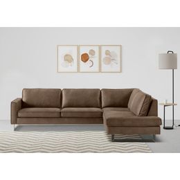 Home Affaire Ecksofa &raquo;Pinto, 290 cm, Cord, Chenille, Lederoptik, Ottomane links / rechts&laquo; mit Keder, schwarze Metallf&uuml;&szlig;e, Wellenunterfederung braun 
