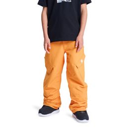 DC Shoes Jungen DC Shoes Snowboardhose &raquo;Banshee&laquo; 10(140-148cm)