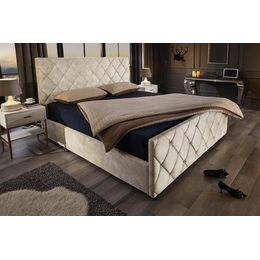 Riess Ambiente Design Boxbett ELYSIUM 160x200cm champagner beige Samt mit Stauraum und Lattenrost Riess-Ambiente Chesterfield Glamour Landhaus Modern