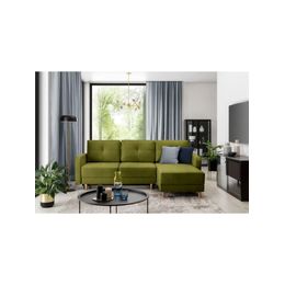MF Design Roxana in Moos - (L) 165 x (B) 240 x (H) 90 cm | Gr.: onesize