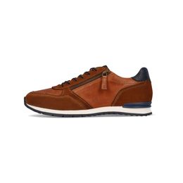 Salamander Sneaker in braun | Gr.: 41
