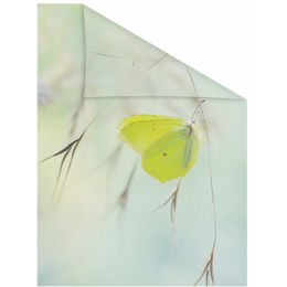 Fensterfolie LICHTBLICK ORIGINAL "Schmetterling Gr&uuml;n" Gr. 4, gr&uuml;n, B:100cm L:130cm, PVC, Fensterfolien, Fensterfolie, selbstklebend, Sichtschutz