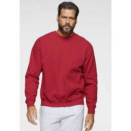 Sweatshirt Fruit of the Loom, Herren, Gr. L (52/54), rot, angeraute Sweatware, Obermaterial: 80% Baumwolle, 20% Polyester, schmal h&uuml;ftlang, Rundhals, Rippb&uuml;ndchen, Sweatshirts Sweatshirt, im unifarbenen Design, Topseller