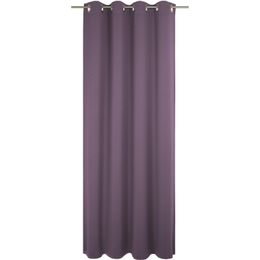 Vorhang Adam "Uni Collection", lila (aubergine), B:142cm H:155cm, Baumwolle (Bio-Baumwolle), Gardinen, Vorhang, Blickdichter aus 100% Bio-Baumwolle