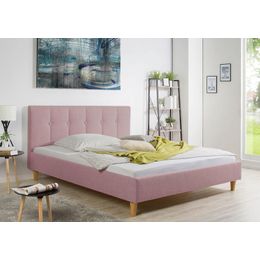 Polsterbett Maintal "Leesburg", rosa (flamingo), B:165cm H:99cm L:216cm, Betten, Polsterbett, Bettseiten zerlegt, ohne Bettkasten