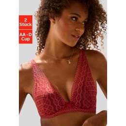 Push-up-BH Petite Fleur, Damen, Gr. 85, Cup A, braun (haselnuss, puder), Microtouch, Obermaterial: 60% Polyamid, 35% Polyester, 5% Elasthan, BHs Push-up-BH, in modischem High-Apex Schnitt
