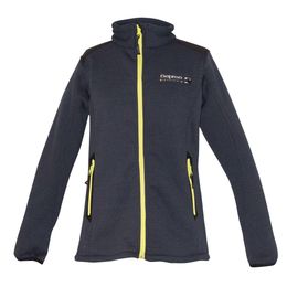 Fleecejacke DEPROC Active "Wohlf&uuml;hljacke WAVERLEY WOMEN", Damen, Gr. 54 (XXL), grau (anthra), 96% Polyester; 4% Elasthan, mit verstellbarem Klettverschluss, Jacken Fleecejacke, auch in Gro&szlig;en Gr&ouml;&szlig;en erh&auml;ltlich