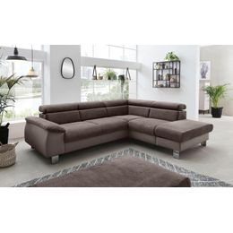 Ecksofa COTTA "Komaris L-Form, B: 249 cm", braun (mud, espresso), B:249cm H:72cm T:100cm, Microfaser PRIMABELLE (100% Polyester);Kunstleder SOFTLUX;Feinstruktur (100% Polyester);Kunstleder SOFTLUX/Struktur (100% Polyester);NaturLEDER, Sofas, Ecksofa, mit Kopfteilverstellung, optional Bettfunktion, Bettkasten & Licht