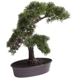 Kunstbonsai BOTANIC-HAUS "Cedern Bonsai", gr&uuml;n (dunkelg&uuml;n), B:37cm H:42cm T:37cm &Oslash;:37cm, Kunststoff, Kunstpflanzen, Kunstbonsai