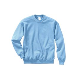 Sweatshirt Fruit of the Loom, Damen, Gr. 6, blau (hellblau), 80% Baumwolle, 20% Polyester, unifarben, Rundhals, Sweatshirts Sweatshirt