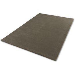 Teppich Astra "Barletta 240", braun (dunkelbraun), B:200cm H:20mm L:290cm, Kunstfaser, Teppiche, Teppich, Langflor, Shaggy, uni, weich, Wohnzimmer,Schlafzimmer