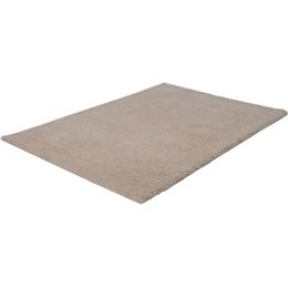 Teppich Gino Falcone "Guilia 001" Gr. 6, beige, B:190cm H:15mm L:280cm, Kunstfaser, Teppiche, Teppich, besonders weich durch Microfaser, ideal im Wohnzimmer & Schlafzimmer