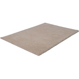 Teppich Gino Falcone "Guilia 001" Gr. 2, beige, B:80cm H:15mm L:150cm, Kunstfaser, Teppiche, Teppich, besonders weich durch Microfaser, ideal im Wohnzimmer & Schlafzimmer