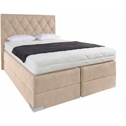 Boxspringbett, beige (dunkelbeige), B:210cm L:212cm, Bezug der Obermatratze: 100% Polyester, Bezug abnehm- und waschbar bis 60C;Unterbox und Kopfteil: Microvelours-Bezug (100% Polyester), Westfalia Schlafkomfort, Komplettbetten, Boxspringbett