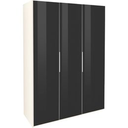 Kleiderschrank wimex "Level by fresh to go", wei&szlig; (wei&szlig;, grauglas), B:150cm H:236cm T:58cm, Schr&auml;nke, Kleiderschrank, T&uuml;ren vollfl&auml;chig mit farbigem Glas