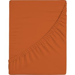 Spannbettlaken bellana "bellana premiumstretch", papaya, 1 Stk., Jersey-Elasthan, 140-160x200-220 18-35cm, Jersey-Elasthan, Obermaterial: 95% Baumwolle, 5% Elasthan, Bettlaken, Spannbettlaken, super elastisch