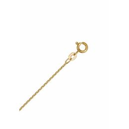 Goldkette ONE ELEMENT "Halskette Rundankerkette aus 585 Gelbgold &Oslash; 1,2 mm" Gr. 36, gold, Halsketten, Damen, 36, Gelbgold 585, Goldkette