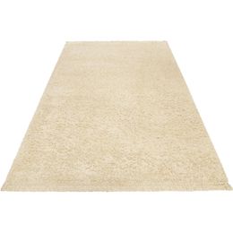 Hochflor-Teppich Esprit "Dantep, ESP-80261", beige (creme, beige), B:120cm H:35mm L:170cm, Polypropylen (PP), Teppiche, Hochflor-Teppich, Langflor, Shaggy, sehr weich, mit Fransen, auch als L&auml;ufer, Wohnzimmer
