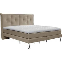 Boxspringbett Alina "Longon inkl. Matratze und Komfortschaum-Topper, Breite 180x200cm", beige (beige dgs 42), B:194cm L:212,5cm, Struktur fein DGS (92% Poyester, 8% Nylon), Komplettbetten, Boxspringbett, erh&auml;ltlich in verschiedenen H&auml;rtegraden