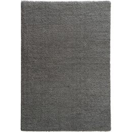 Hochflor-Teppich Astra "New Livorno", grau, B:200cm H:30mm L:290cm, Kunstfaser, Teppiche, Hochflor-Teppich, Kurzflor, Wohnzimmer