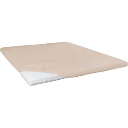Spannbettlaken Primera "Elasthan-Feinjersey Topper", beige (d&uuml;ne), 1 Stk., Jersey-Elasthan, 90-100x200 10cm, Jersey-Elasthan, Obermaterial: 95% Baumwolle, 5% Elasthan, Bettlaken, Spannbettlaken, Aus 95% gek&auml;mmter Baumwolle und 5% Elastan