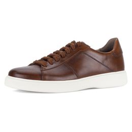 Sneaker Pius Gabor, Herren, Gr. 10 (44,5), braun (cognac), Glattleder, unifarben, Schuhe Sneaker, Freizeitschuh, Halbschuh, Schn&uuml;rschuh, Ziern&auml;hte, G-Weite