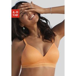 Bralette-BH Lascana "Freya", Damen, Gr. 85, Cup C, orange, Spitze, Obermaterial: 36% Polyamid, 29% Polyester, 27% Baumwolle, 8% Elasthan, BHs Bralette-BH, ohne B&uuml;gel mit eingearbeitetem Push-up Kissen, Dessous