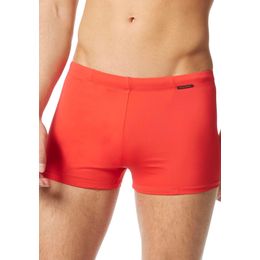 Badehose Bruno Banani, Herren, Gr. S (4), N-Gr, rot, Polyamid, unifarben, Badehosen Badehose