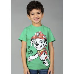 T-Shirt PAW PATROL "PAW PATROL", Jungen, Gr. 128, gr&uuml;n (blarney), Obermaterial: 100% Baumwolle, Basic, regular fit h&uuml;ftbedeckend, Rundhals, abgesteppte Kante, Shirts T-Shirt, mit coolem, gro&szlig;en Frontmotiv, Topseller
