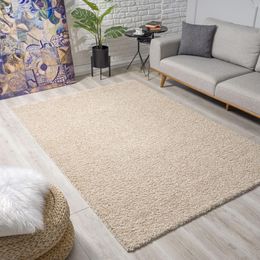 Hochflor-Teppich Sanat "LOCA" Gr. 4, beige, B:160cm H:30mm L:230cm, Kunstfaser, Teppiche, Hochflor-Teppich, Wohnzimmer, Langflor, Shaggy, Schlafzimmer