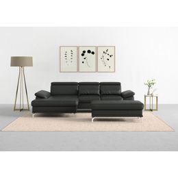 Sit & More Ecksofa SIT & MORE "Cabrio L-Form, B: 295 cm, mit Sitztiefen-, Arm- & Kopfteilverstellung", grau (anthrazit), B:295cm H:87cm T:180cm, Sofas, Ecksofa, 2 Nierenkissen, Federkern, optional Bettfunktion und Stauraum