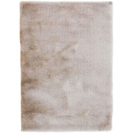 Hochflor-Teppich CarpetFine "Breeze", beige (creme), B:120cm H:45mm L:170cm, Polyester, Teppiche, Hochflor-Teppich, besonders weich mit leichtem Glanz Garn, Wohnzimmer