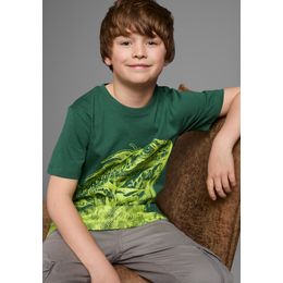 T-Shirt Kidsworld "GECKO", Jungen, Gr. 164/170, gr&uuml;n (dunkelgr&uuml;n), Jersey, Obermaterial: 100% Baumwolle, bedruckt, Basic, Rundhals, Shirts T-Shirt, Kurzarm, Basic-Passform, bedruckt, Rundhalsausschnitt, Topseller