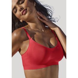 Bralette-BH Nuance, Damen, Gr. M (40), N-Gr, rot (kirschrot), Microtouch, Obermaterial: 82% Polyamid, 18% Elasthan, Basic, BHs Bralette-BH, SEAMLESS ohne B&uuml;gel, mit herausnehmbarem Push-up-Kissen, Basic Dessous